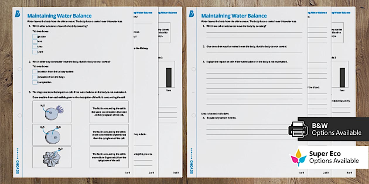 Maintaining Water Balance Worksheets | AQA Biology | Beyond
