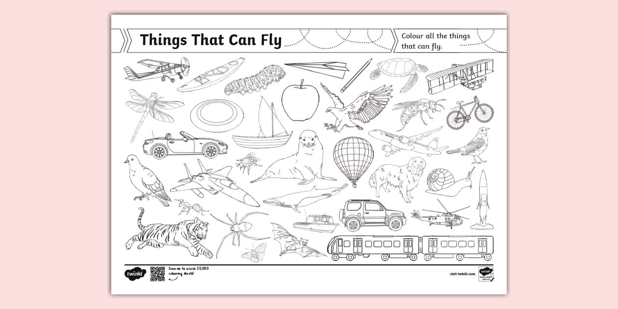 Things That Can Fly Colouring - Twinkl - KS1 - Twinkl