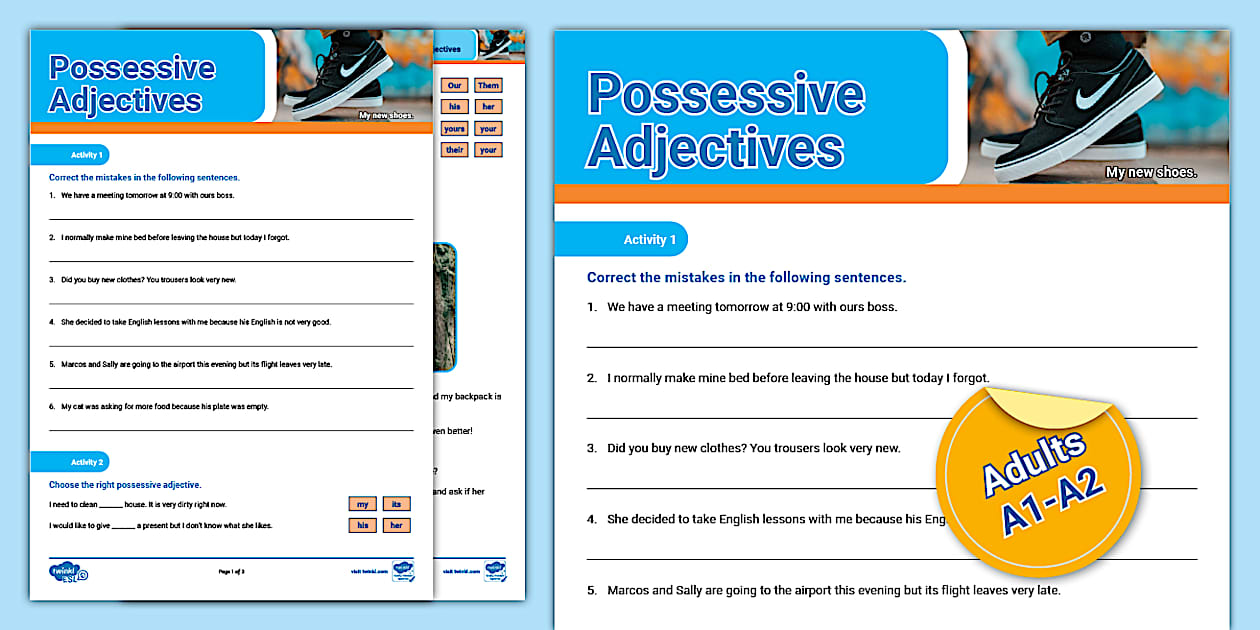 ESL Possessive Adjectives Activity Sheet [Adults, A1-A2]
