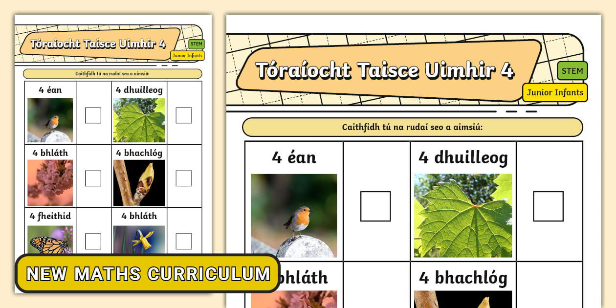 Gaeilge Scavenger Hunt (teacher made) - Twinkl