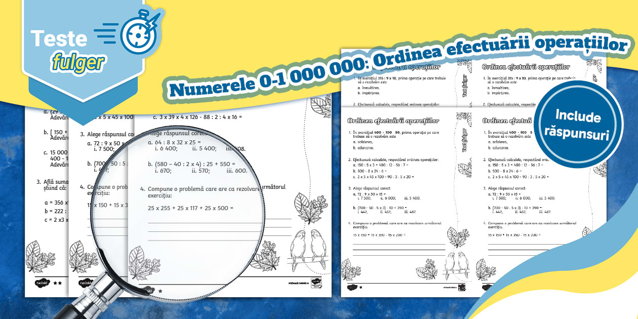 Ordinea efectuării operațiilor – Test fulger