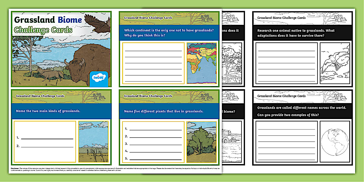 Grassland Biome Challenge Cards (teacher made) - Twinkl