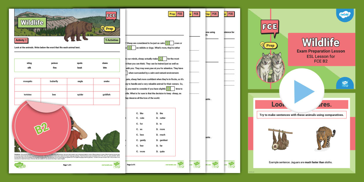 B2 First (FCE) Prep Lesson - Wildlife on Twinkl - Twinkl