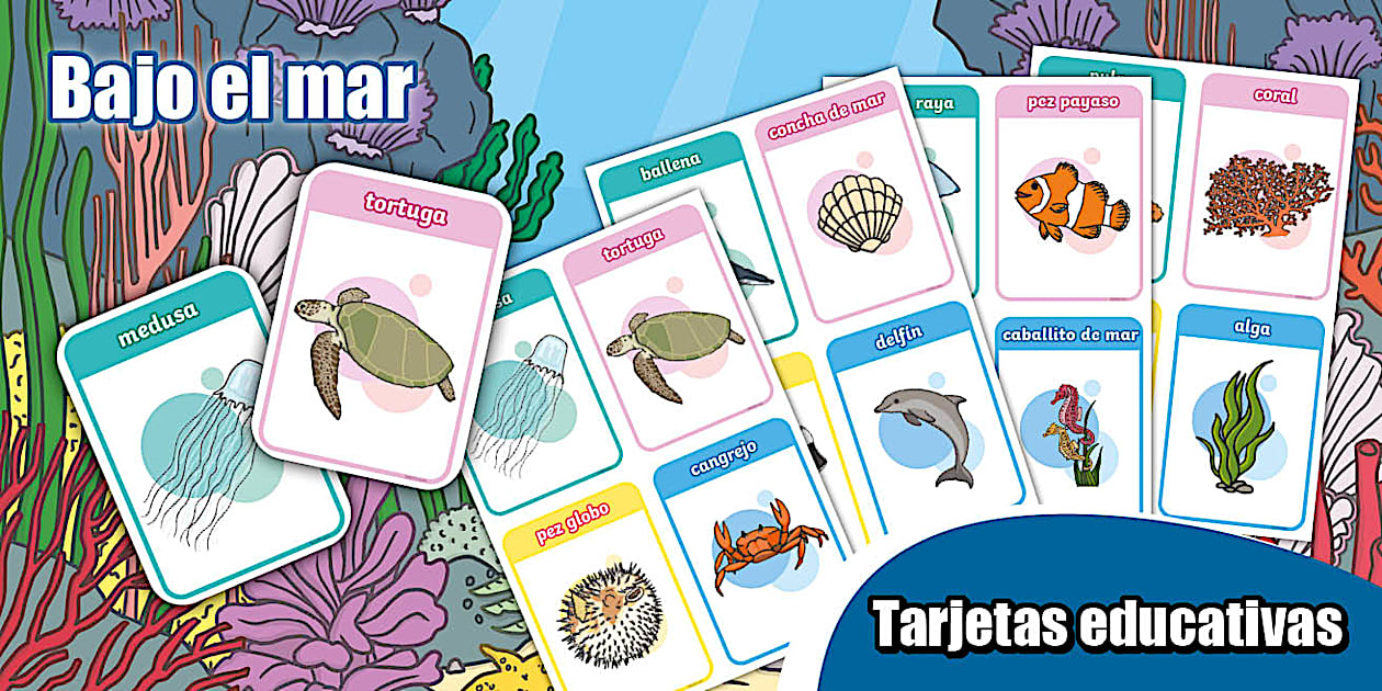 Tarjetas educativas: Bajo el mar - Twinkl