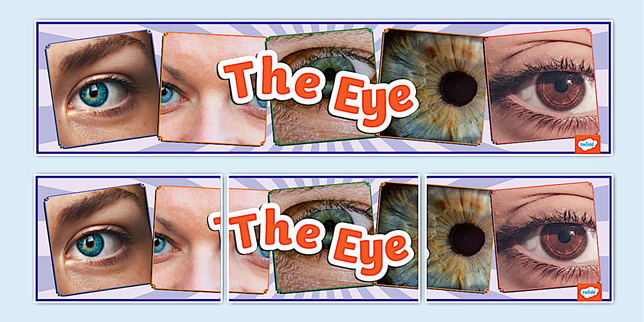The Eye Photo Display Banner (teacher made) - Twinkl