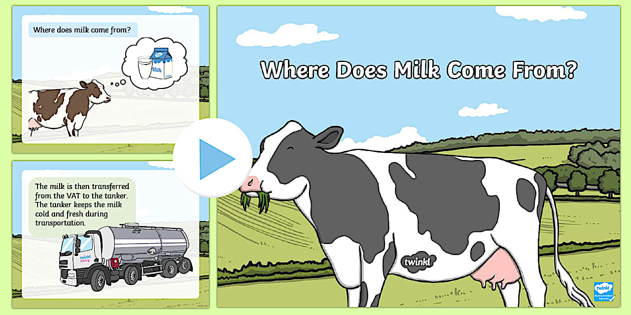 The Story of Milk PowerPoint - Dairy Products Lesson Plan
