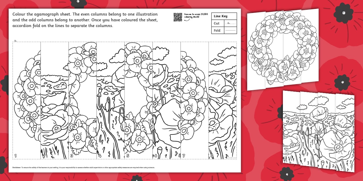 Remembrance Day Poppies Colouring Agamograph (teacher made)