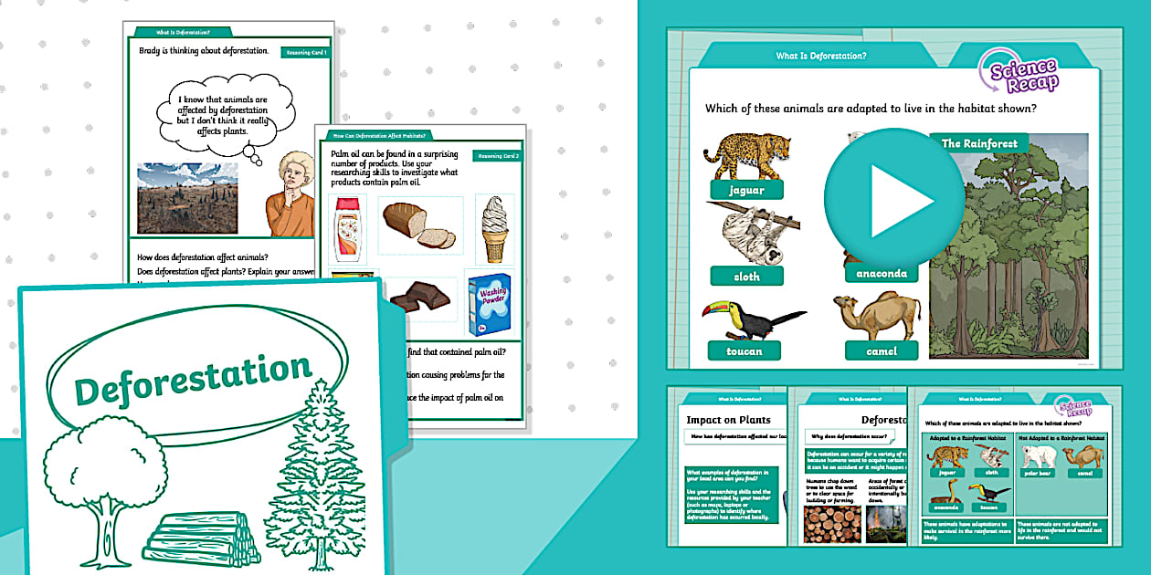Step into Science: Year 4: Summer: Block 3: Deforestation: Steps 1 to 2