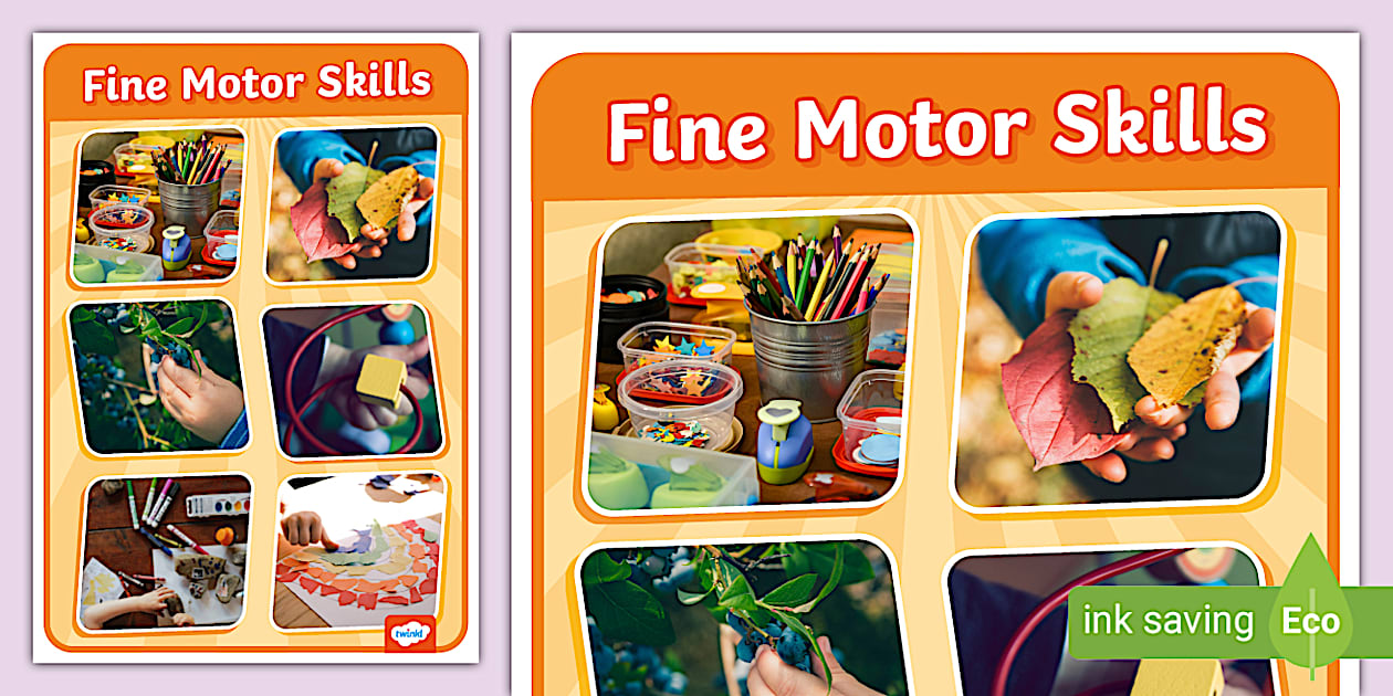 Fine Motor Skills Photo Display Poster (teacher made)