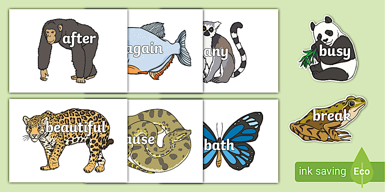 Cursive Year 2 Common Exception Words on Rainforest Animals