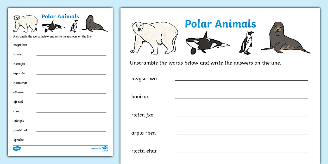 Word Unscramble: Polar Animals Activity (teacher made)