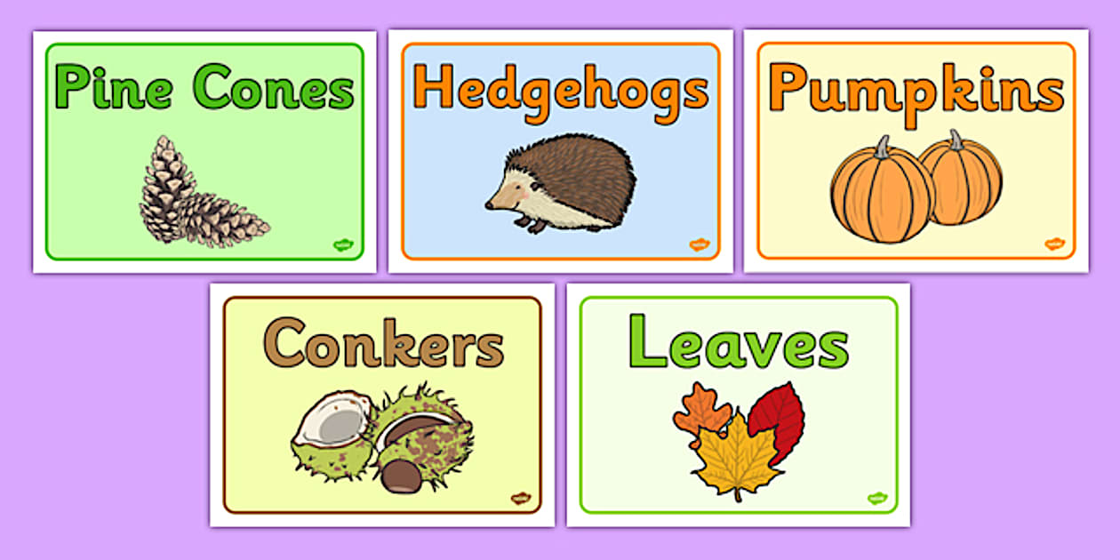 Autumn Class Group Signs (Teacher-Made) - Twinkl