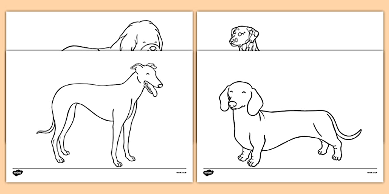 Pictures Of Dogs To Colour In | Dog Colouring | Art Activity