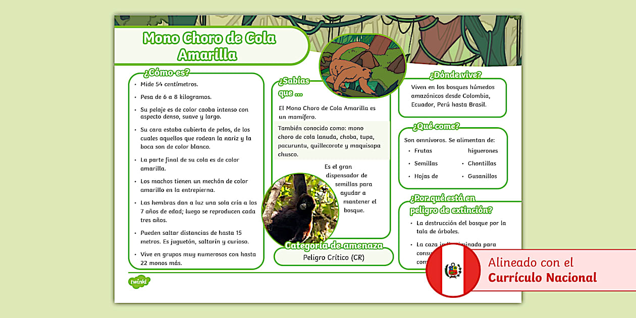 Texto informativo: Mono Choro de Cola Amarilla - Twinkl
