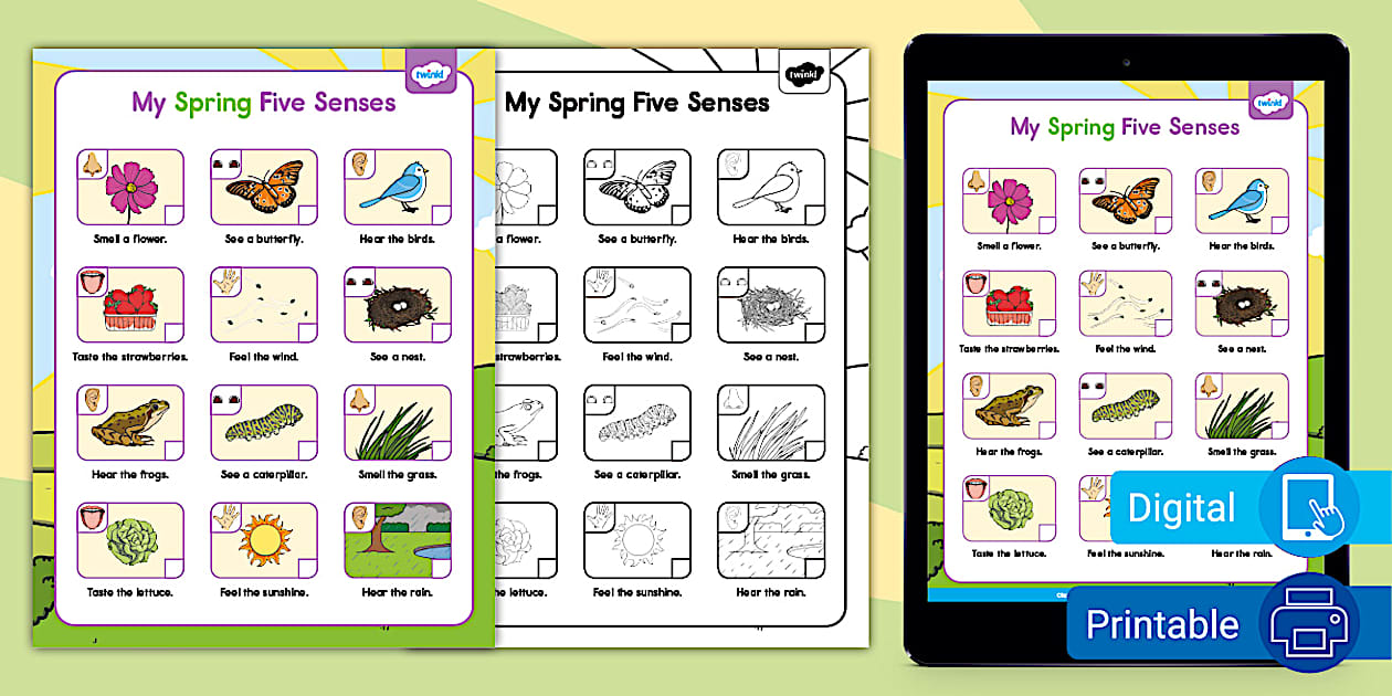 My Spring Five Senses Scavenger Hunt | Twinkl USA - Twinkl