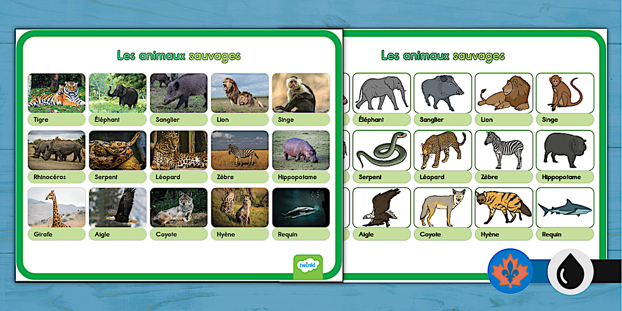 Word mat wild animals French (teacher made) - Twinkl