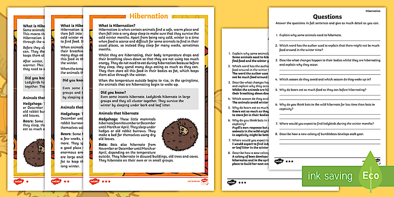 Hibernation Differentiated Reading Comprehension Activity