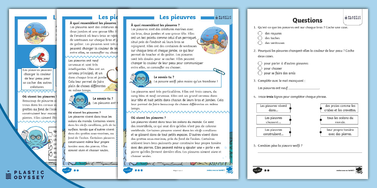 Plastic Odyssey - Les pieuvres compréhension écrite niveaux différenciés