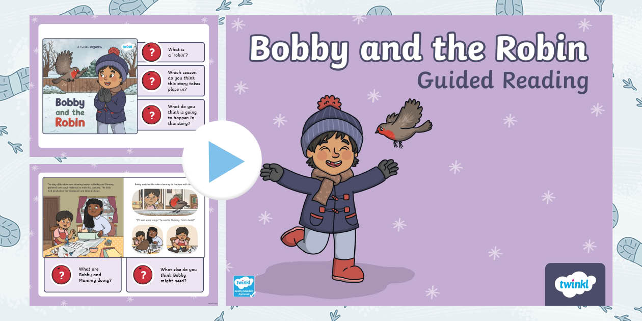 KS1 Bobby and the Robin Guided Reading Questions PowerPoint