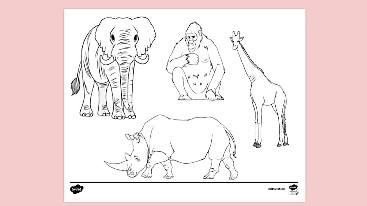 Animal Colouring Sheet PDF | Colouring Sheets - Twinkl