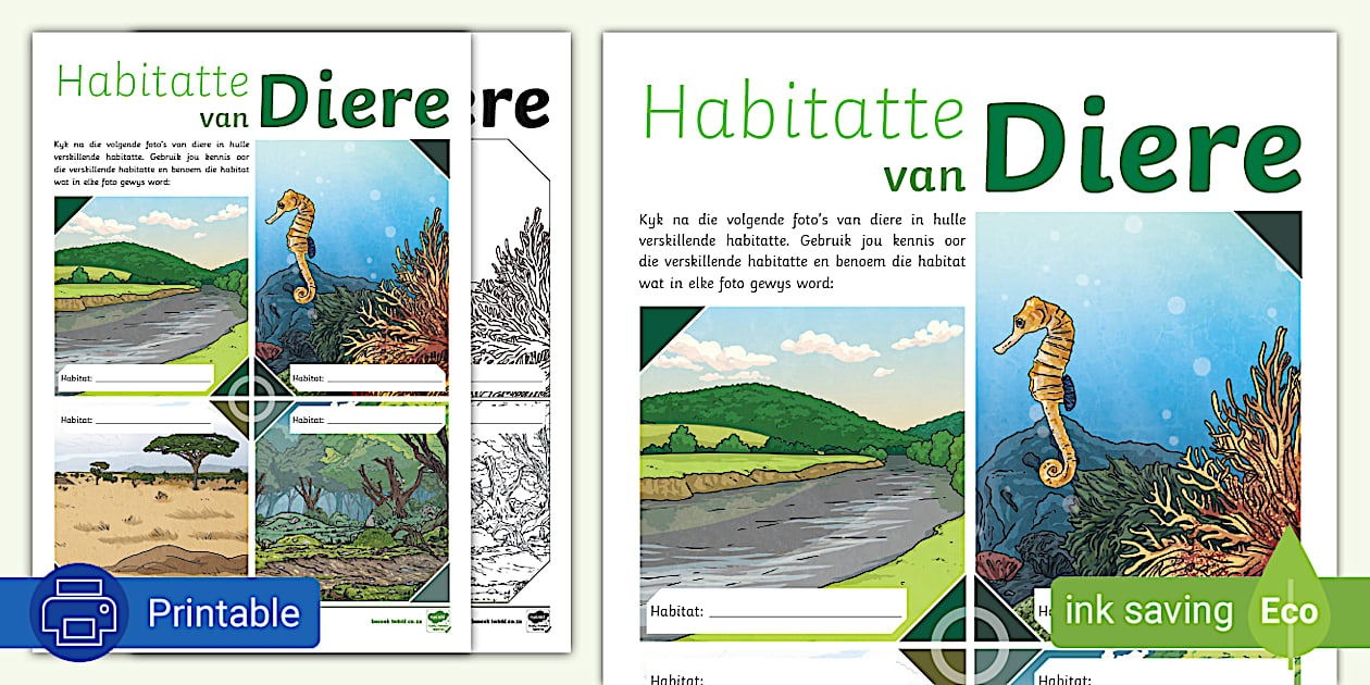 Benoem Die Habitatte van Diere (teacher made) - Twinkl