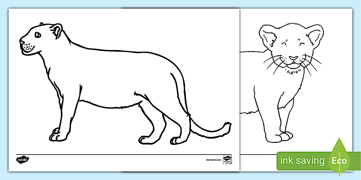 Baby Panther Colouring Sheet | Twinkl Colouring Pages