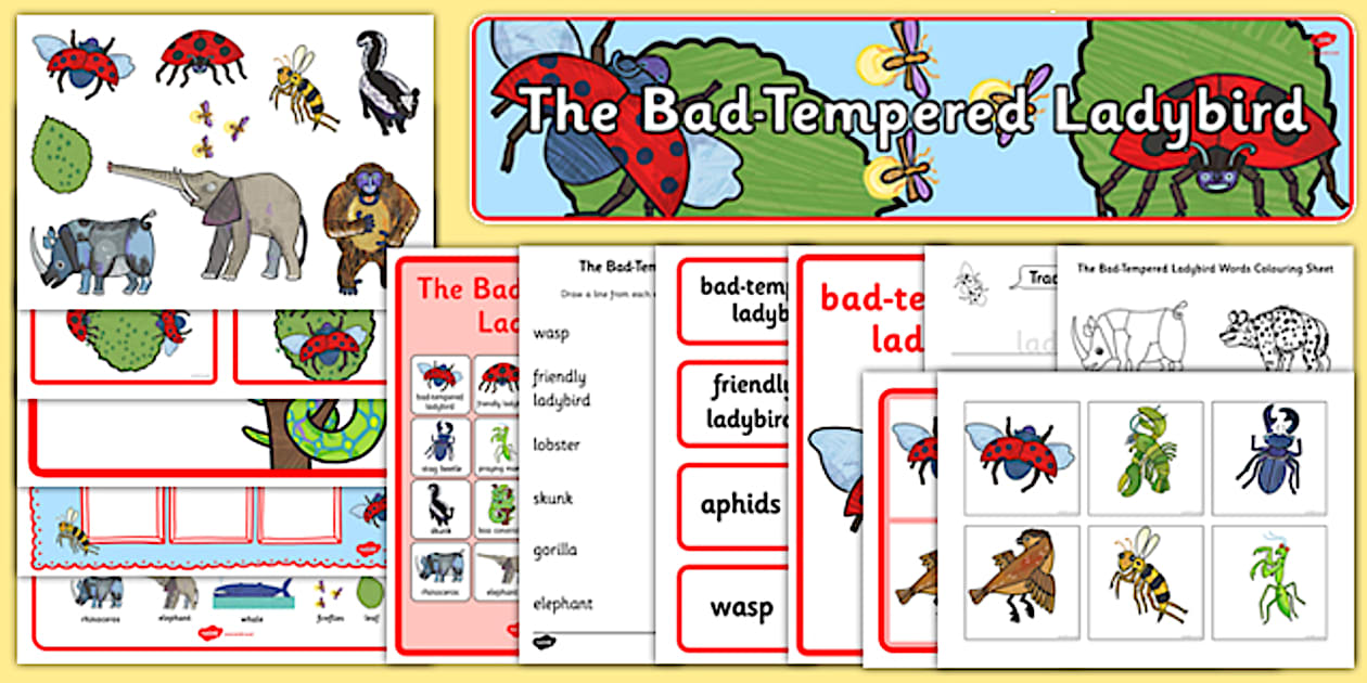Story Sack to Support Teaching on The Bad Tempered Ladybird