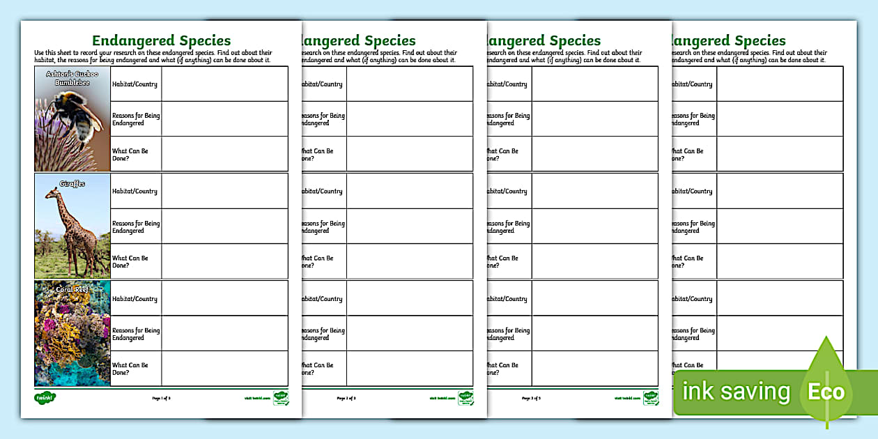 UKS2 Endangered Species Adult Guidance (Teacher-Made)