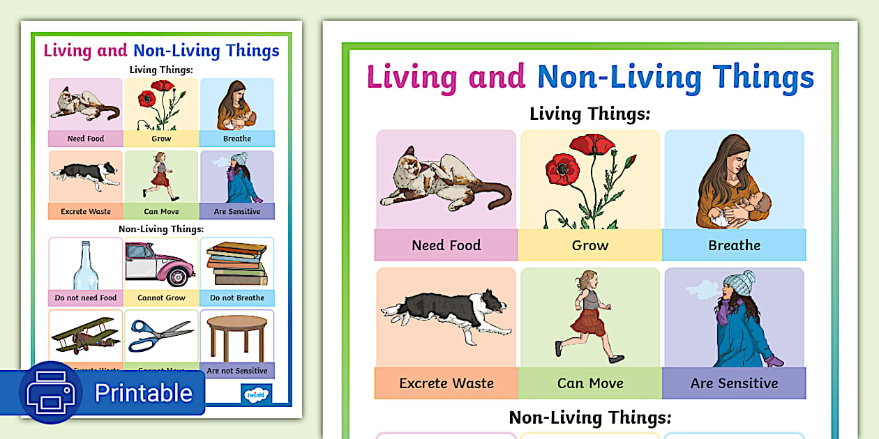 Living and Non-Living Things - Poster (teacher made)