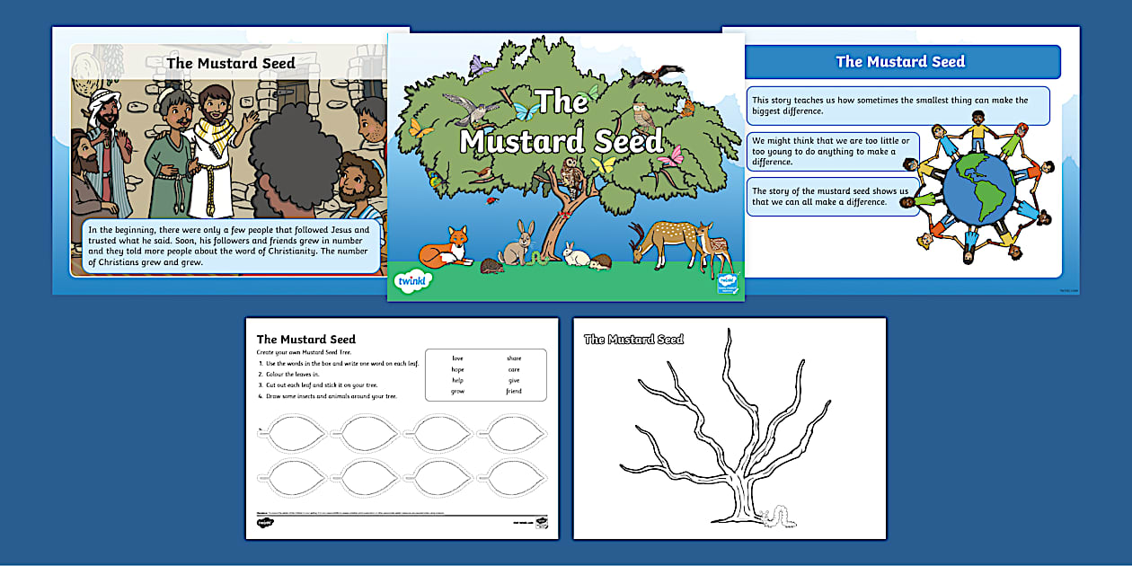 KS1 The Parable of the Mustard Seed Teaching Pack - Twinkl