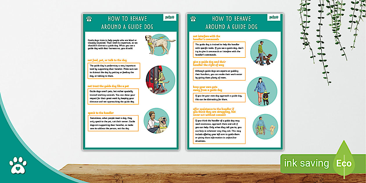 How to Behave around a Guide Dog - Display Poster - Pets