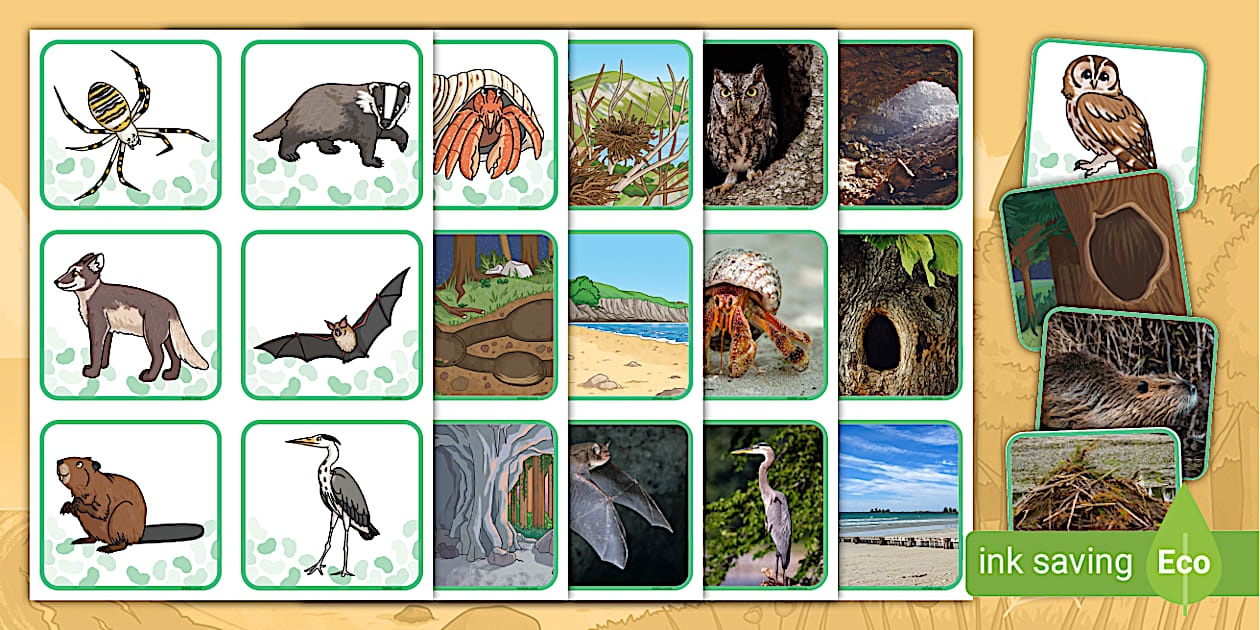 This Is a Home Matching Game | Twinkl Originals - Twinkl