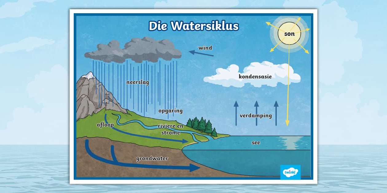 Die Watersiklus Vertoon Plakkaat (Lehrer gemacht) - Twinkl