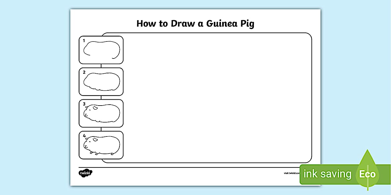 How to Draw a Guinea Pig | Twinkl | KS1 | Arts | Drawings