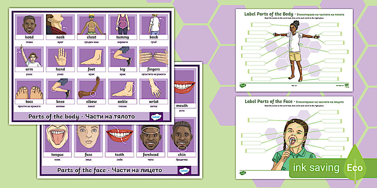 Body Parts Labelling Worksheet - Dual Language Bulgarian and English