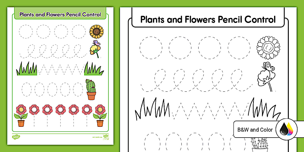 Plants and Flowers Pencil Control Worksheet - Twinkl