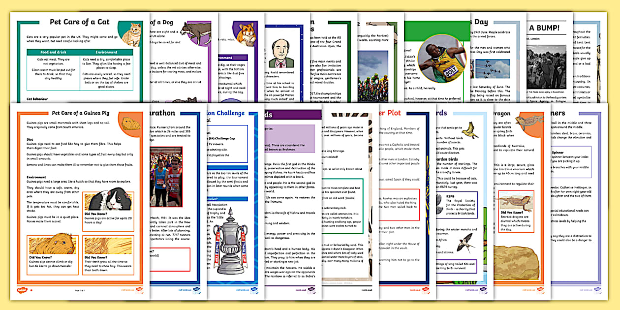 Reading Comprehensions Bumper Resource Pack (teacher made)