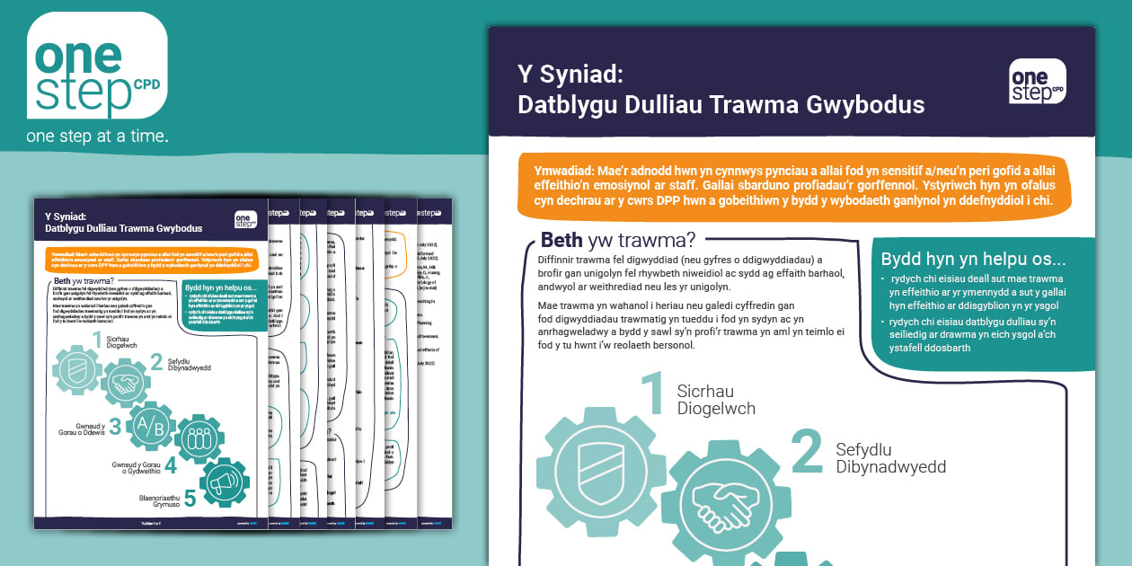 DPP: Canllawiau Reoli Ymddygiad gyda Dulliau Trawma Gwybodus