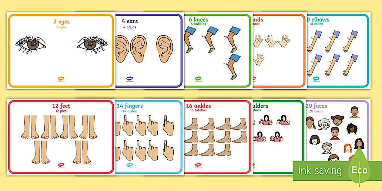 Body Parts Counting in 2s Display Posters English/Spanish - EAL, Body Parts