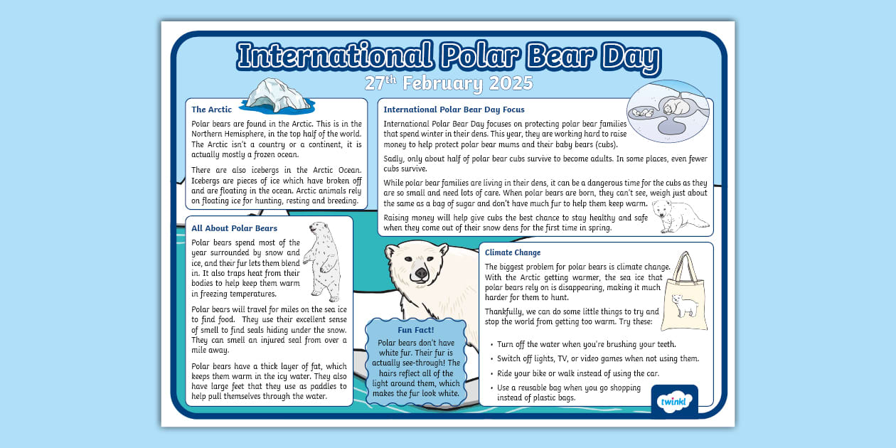 International Polar Bear Day Display Fact Poster for class