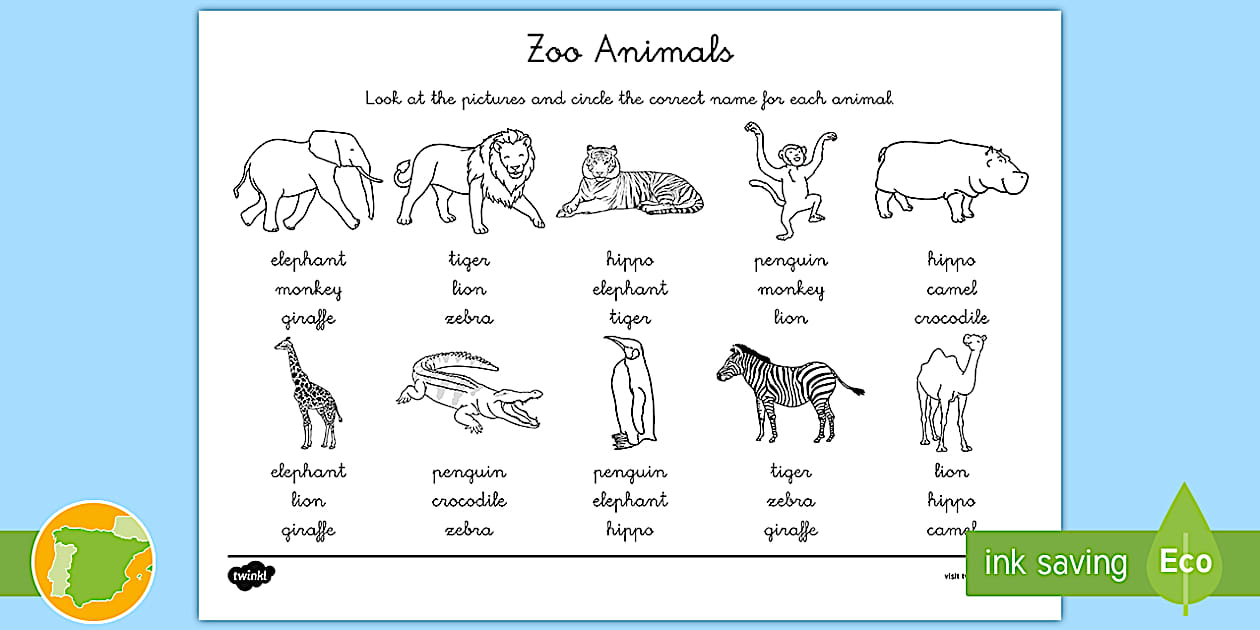 A1 Ficha de actividad: Elige el correcto - Animales del zoo en inglés