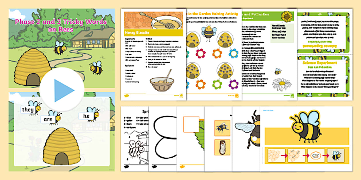 World Bee Day Resource Pack EYFS (teacher made) - Twinkl