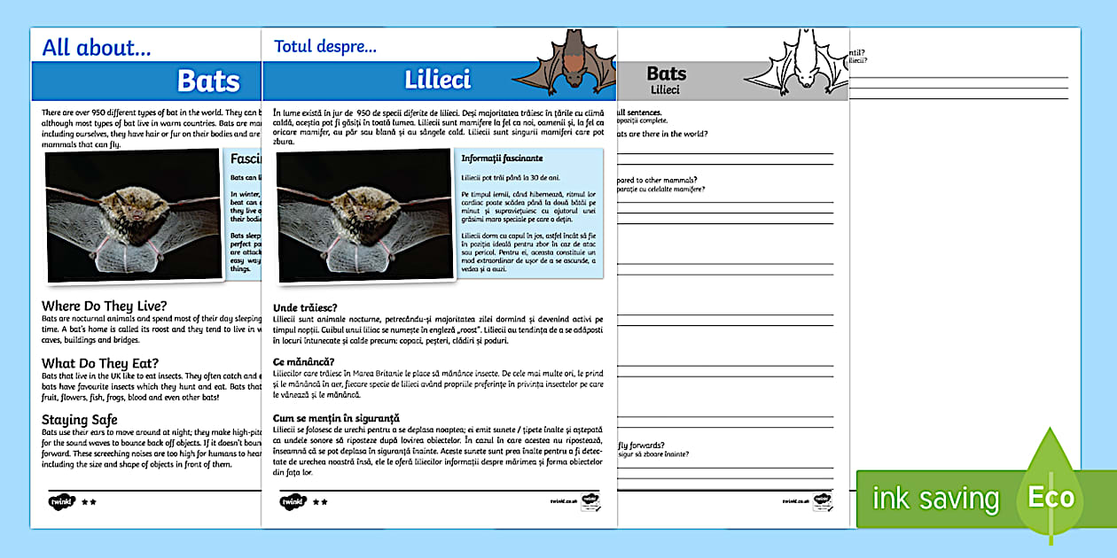 Lower Ability Bats Reading Comprehension Pack English/Romanian