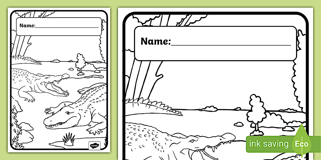 An Awesome Alligator Colouring Book Cover | Twinkl | KS1