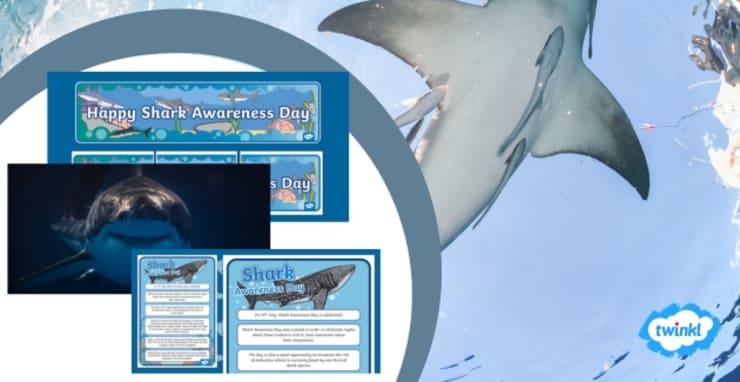 Shark Awareness Day | Events | Twinkl - Twinkl