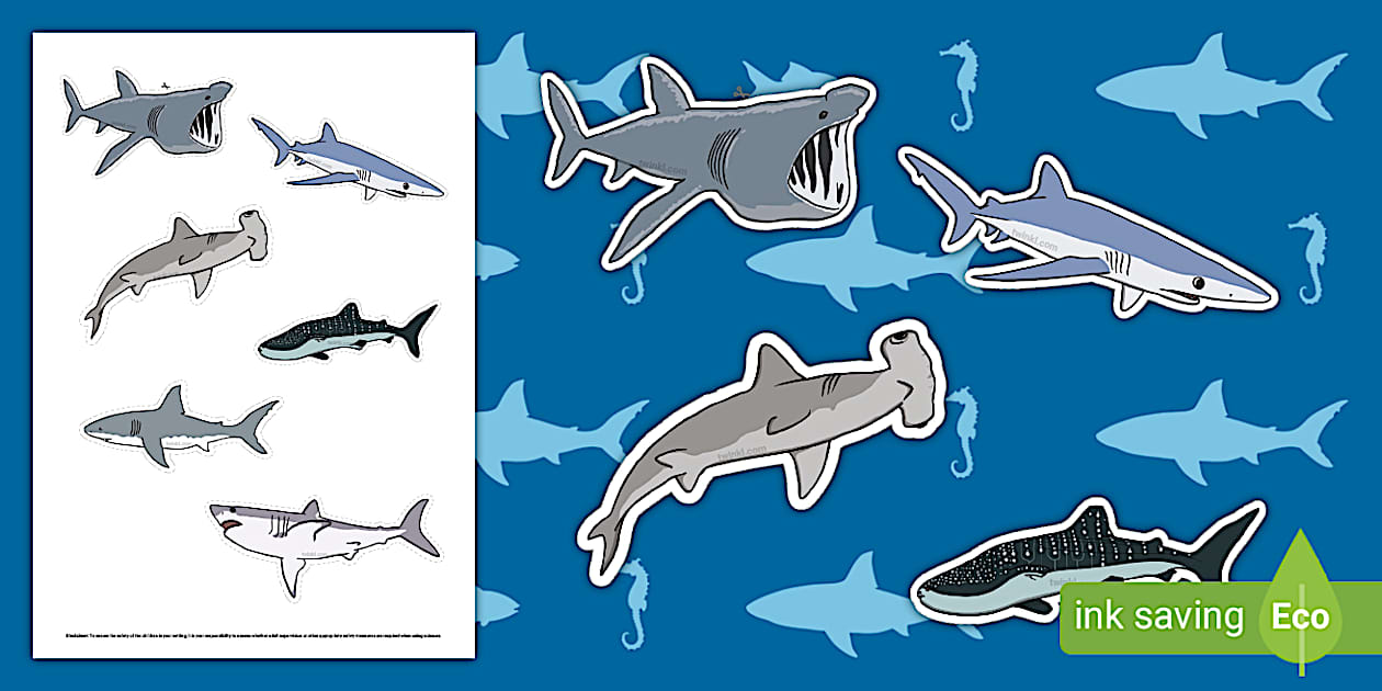 Small Shark Cut Outs (teacher made) - Twinkl