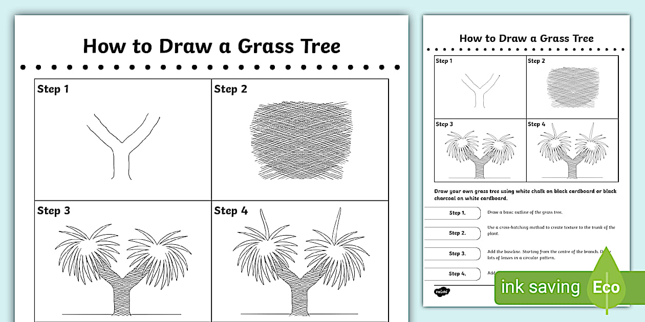How to draw a Grass Tree (teacher made) - Twinkl