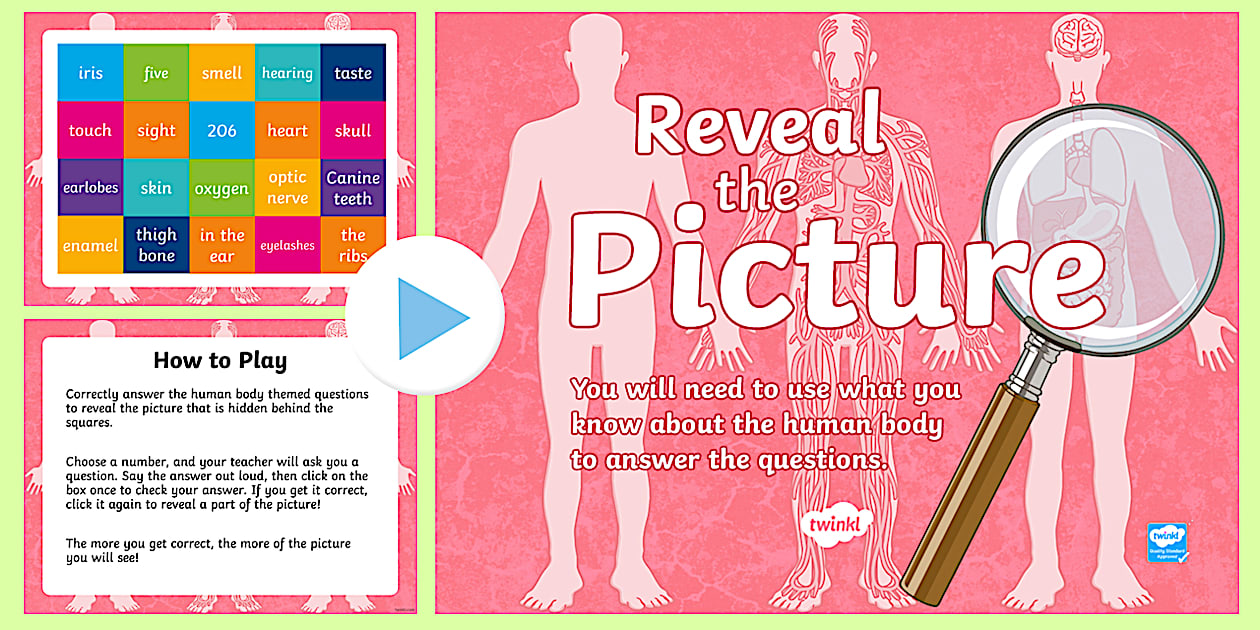 The Human Body Reveal the Picture Activity (teacher made)