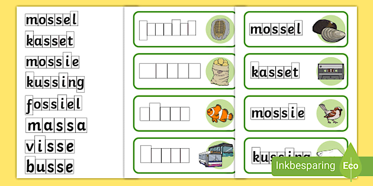 Bou Woorde Met Dubbel Konsonante -ss en -tt Woordkaarte