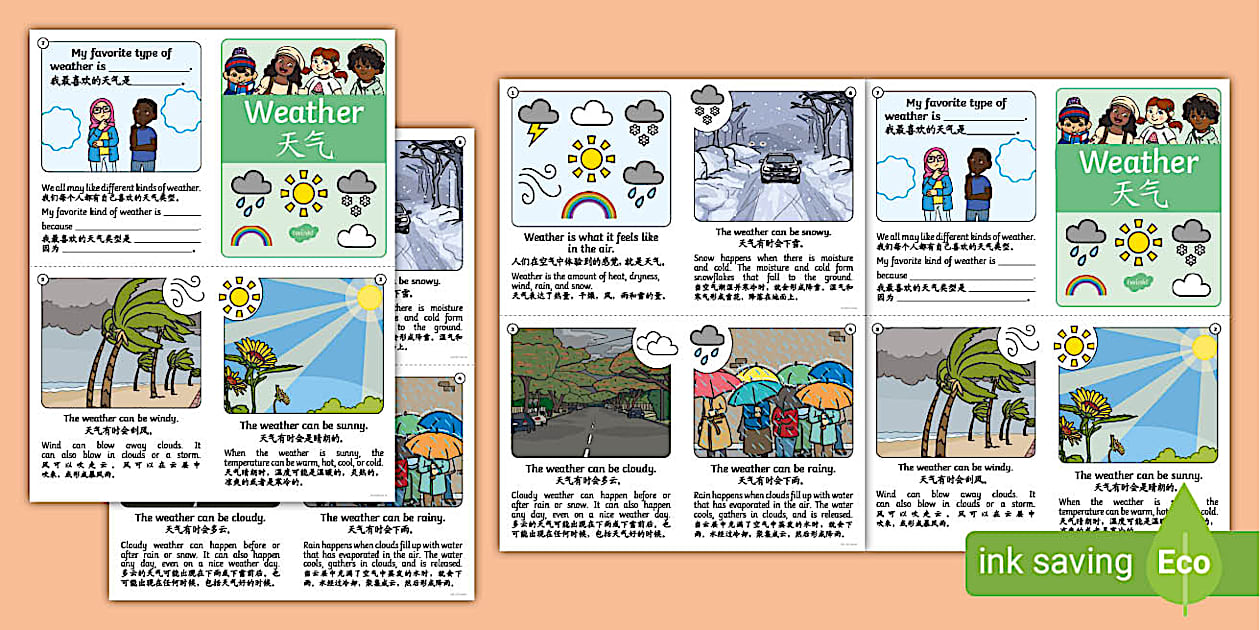 Augmentative and Alternative Communication: Weather Shared Reader
